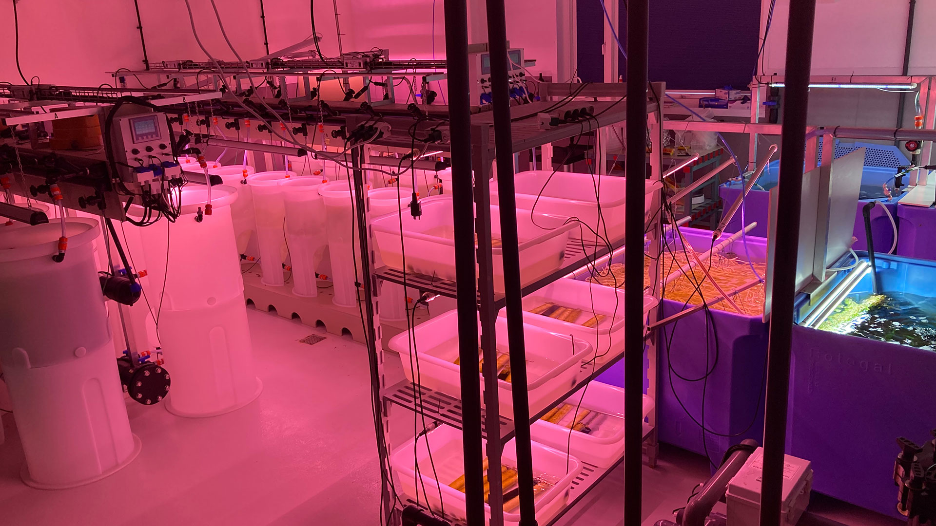 Facilities for research in shellfish, seaweed and coastal ecology ...