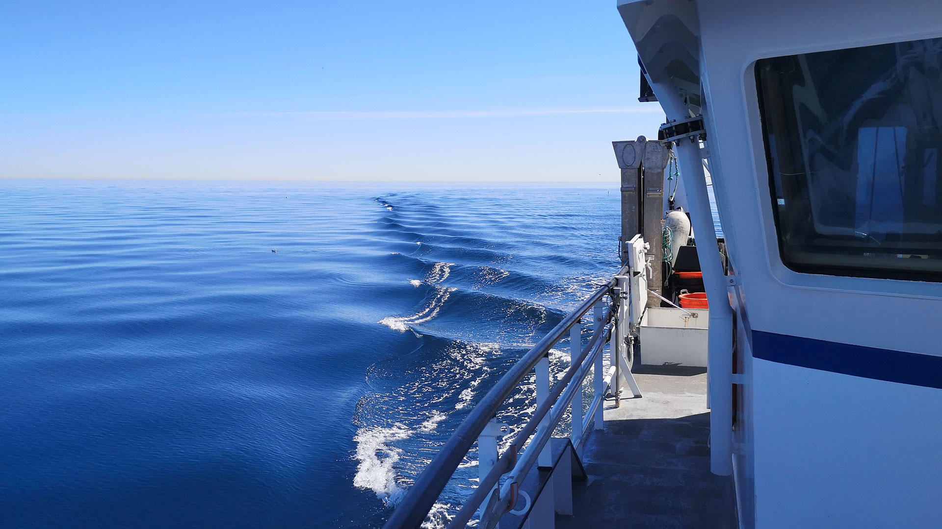 Ecosystem based Marine Management