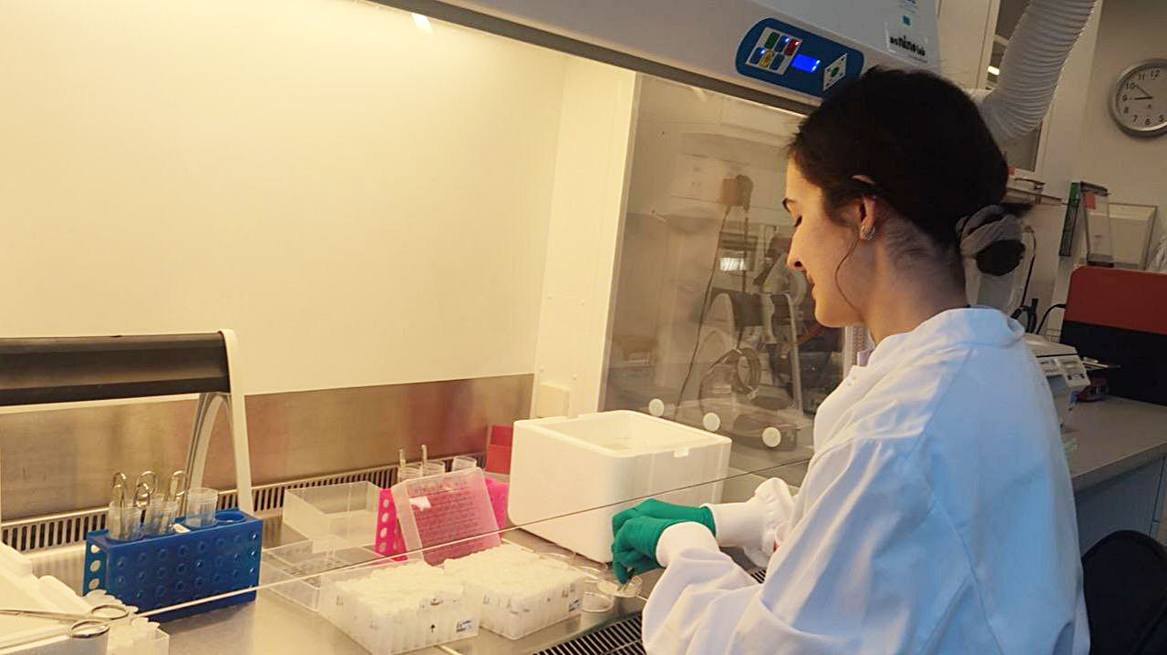 PhD students within Fish and Shellfish Diseases